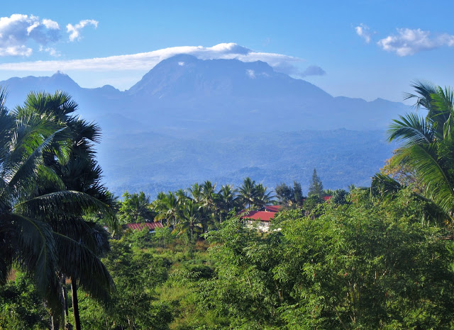 One Million Trees for Timor Leste – Richard Jeo's blog